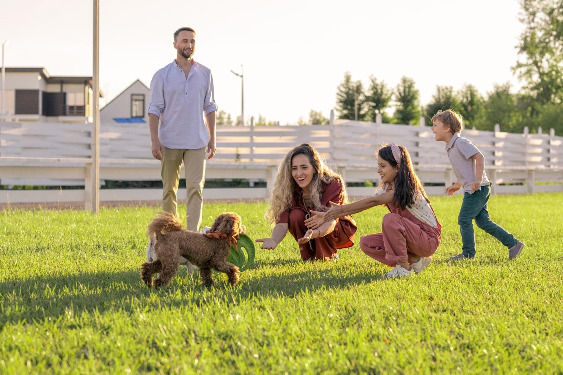 Financing Options - Visit us at Pets N Pals in Staunton, VA!